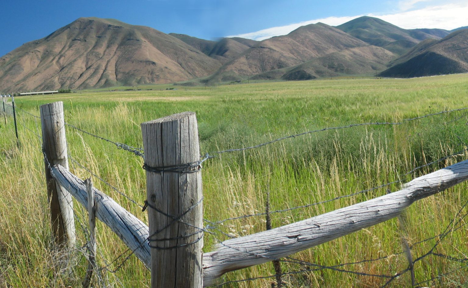 News Release From the Wood River Land Trust - Scott Mary